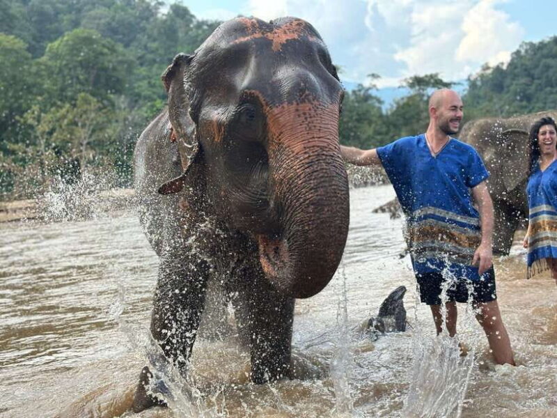 Chiang Mai: Elephant Sanctuary, Long Neck & Sticky Waterfall - Who Is This Tour Best Suited For?
