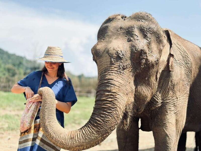 Chiang Mai: Elephant Sanctuary, Long Neck & Sticky Waterfall - FAQ