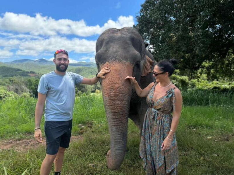 Chiang Mai: Elephant Sanctuary, Monk Trail & Doi Suthep Tour - A Complete Look at the Tour