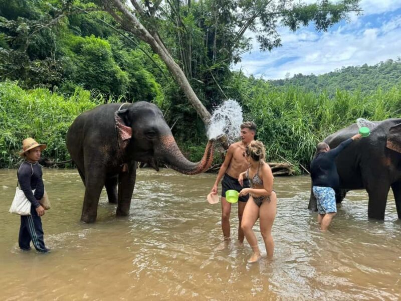 Chiang Mai: Elephant Sanctuary & Pha Chor Canyon - An In-Depth Look at the Chiang Mai Elephant & Canyon Tour