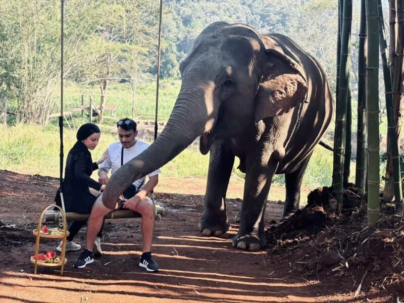 Chiang Mai: Elephant Sanctuary & Pha Chor Canyon - FAQs