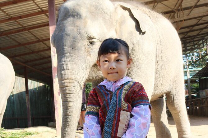 Chiang Mai Elephant Sanctuary Small Group Ethical Tour - An In-Depth Look at the Chiang Mai Elephant Sanctuary Tour