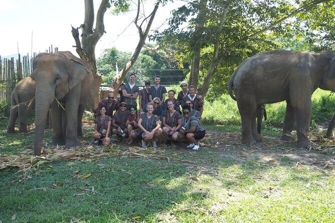 Chiang Mai Elephant Sanctuary Small Group Ethical Tour - Why Travelers Rave About This Tour