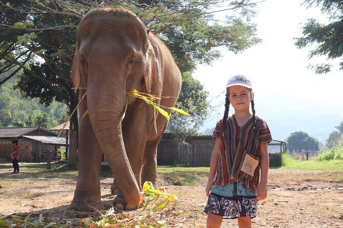 Chiang Mai Elephant Sanctuary Small Group Ethical Tour - Who Is This Tour Best For?