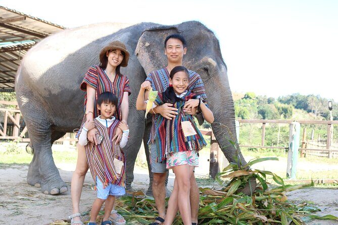 Chiang Mai Elephant Sanctuary Small Group Ethical Tour - FAQs