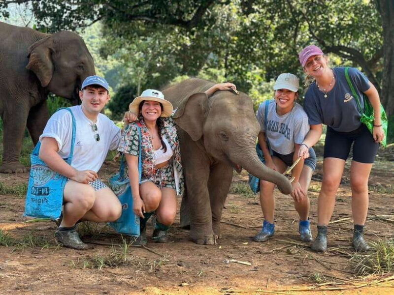 Chiang Mai: Elephant Sanctuary, Waterfall & Bamboo Rafting - A Deep Dive Into the Experience