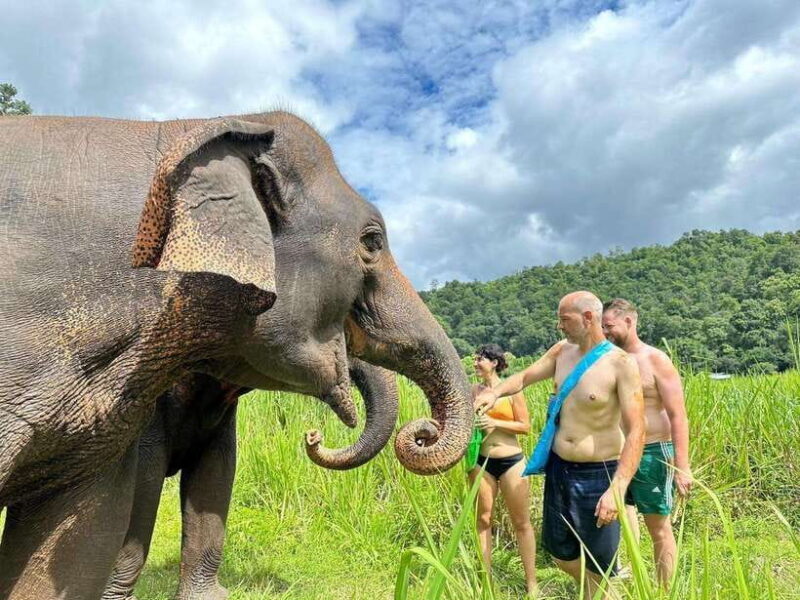 Chiang Mai: Elephant Sanctuary, Waterfall & Bamboo Rafting - The Sum Up