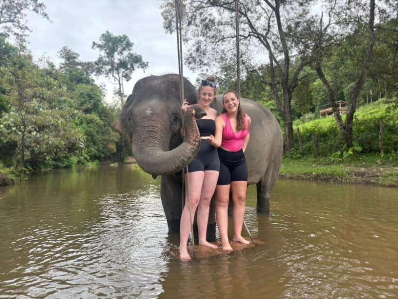 Chiang Mai: Elephant Sanctuary & Waterfall Group Tour - Practical Details and What to Expect