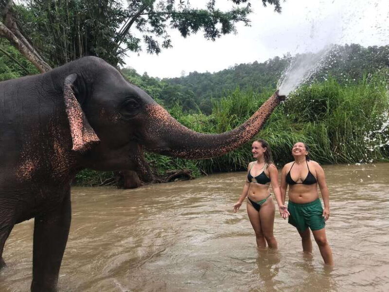 Chiang Mai: Elephant Sanctuary & Waterfall Group Tour - Final Thoughts