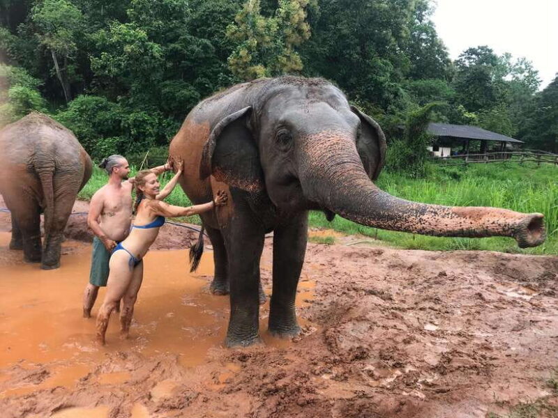 Chiang Mai: Elephant Sanctuary & Waterfall Group Tour - FAQs