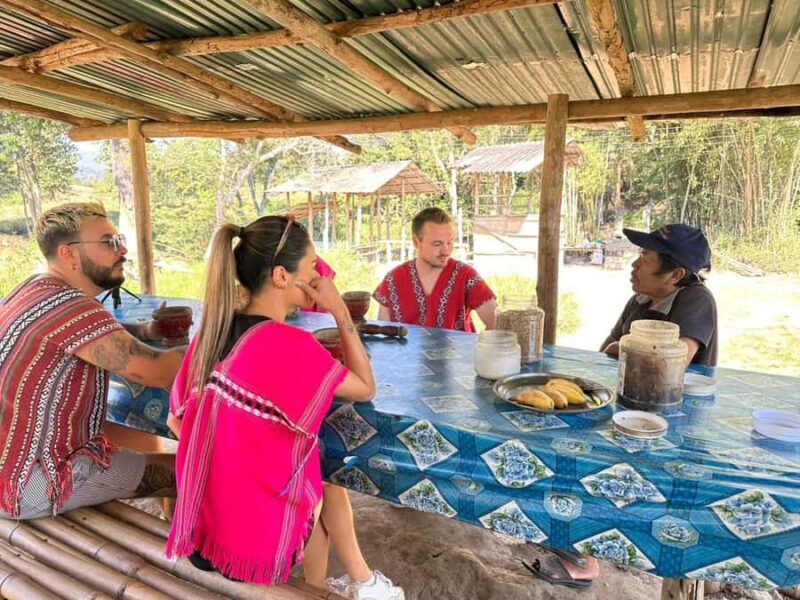 Chiang Mai Elephant Village Life: Long Neck & Bamboo Rafting - Authenticity and Ethical Focus