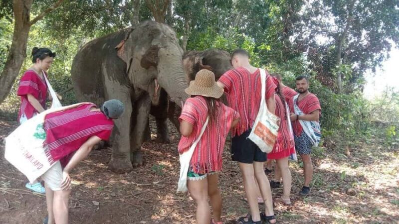 Chiang Mai Elephant Village Life: Long Neck & Bamboo Rafting - Who Should Consider This Tour?