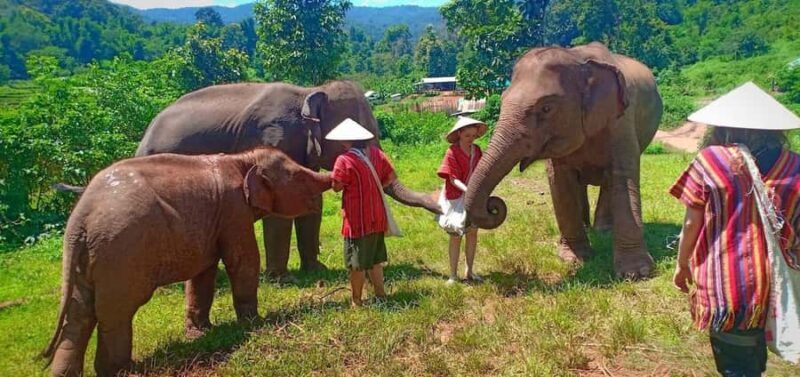 Chiang Mai Elephant Village Life: Long Neck & Bamboo Rafting - FAQ