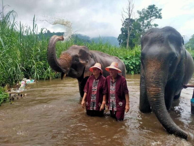 Chiang Mai: Elephants, Sticky Waterfalls, Market and Temple - Savoring Local Flavors and a Heartfelt Lunch