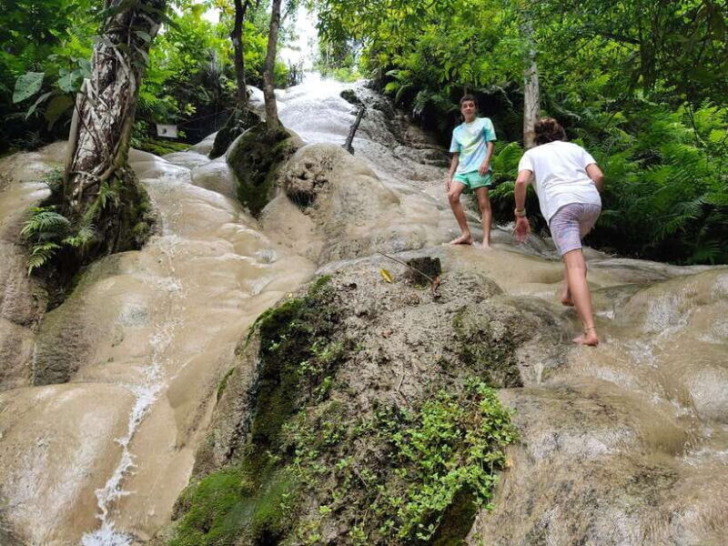Chiang Mai: Elephants, Sticky Waterfalls, Market and Temple - Practical Tips for Your Day Out