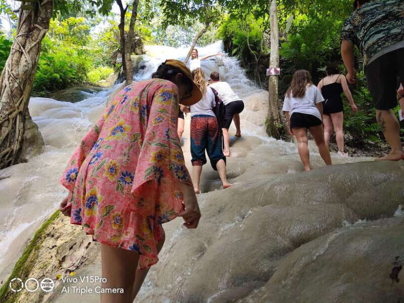 Chiang Mai: Elephants, Sticky Waterfalls, Market and Temple - Who Is This Tour Best Suited For?