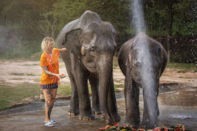 Chiang Mai: Ethical Elephant Feeding & Shower Program - Key Points