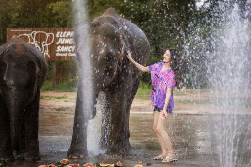 Chiang Mai: Ethical Elephant Feeding & Shower Program - Pricing and Value