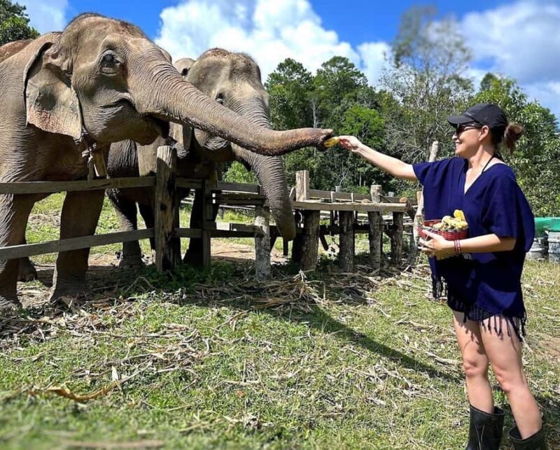 Chiang Mai : Ethical Elephant Sanctuary and ATV Adventure - Key Points