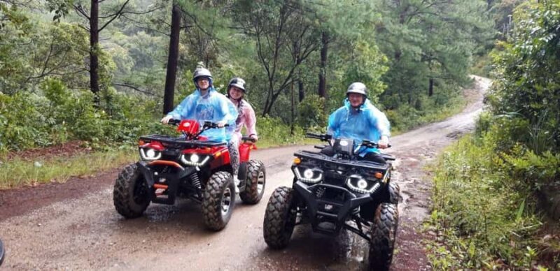 Chiang Mai : Ethical Elephant Sanctuary and ATV Adventure - Who Should Consider This Tour?