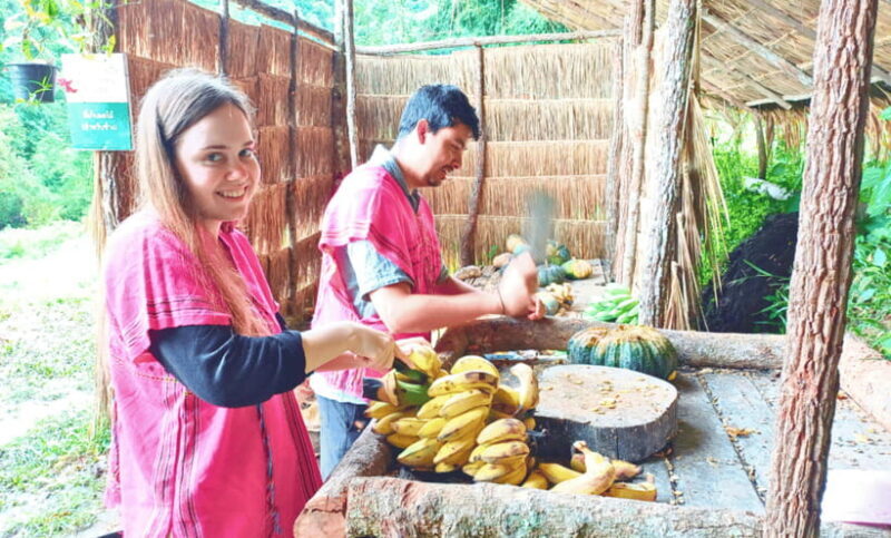 Chiang Mai: Ethical Half Day Elephant Sanctuary & Waterfall - An In-Depth Look at What to Expect