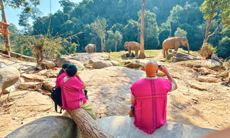Chiang Mai: Ethical Half Day Elephant Sanctuary & Waterfall - Who Should Consider This Tour?