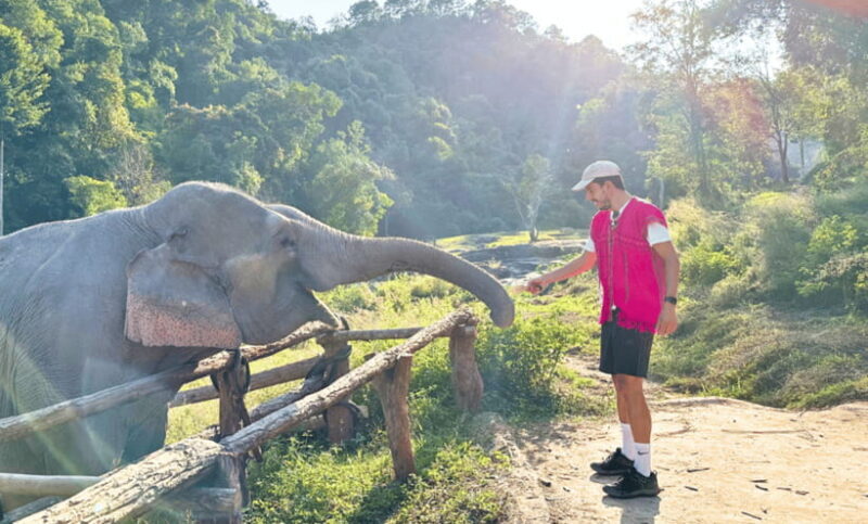 Chiang Mai: Ethical Half Day Elephant Sanctuary & Waterfall - Final Words