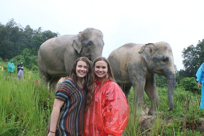 Chiang Mai Ethical Watching Elephant Sanctuary tour - Key Points