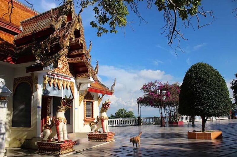 Chiang Mai Evening Tour WAT UMONG and DOI SUTHEP Temples - FAQ