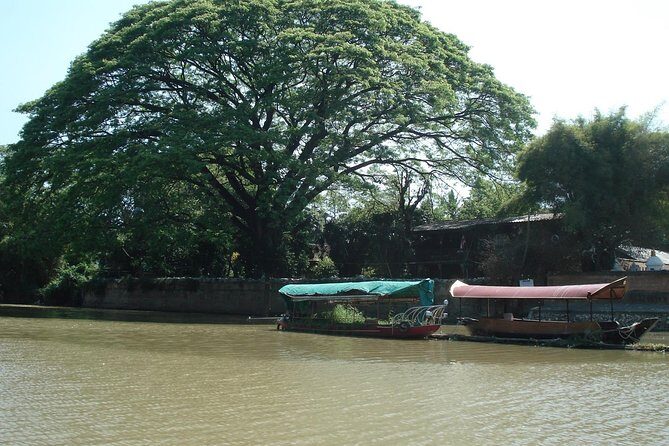Chiang Mai farming and Khao Soy - Key Points