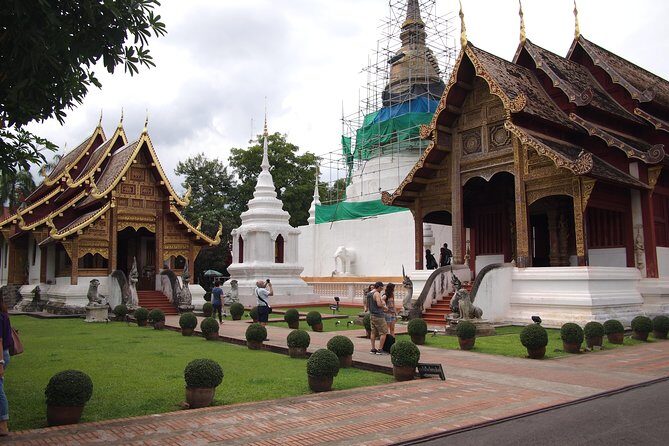 Chiang mai Foodies and Historic Walk - Authentic Feedback from Travelers