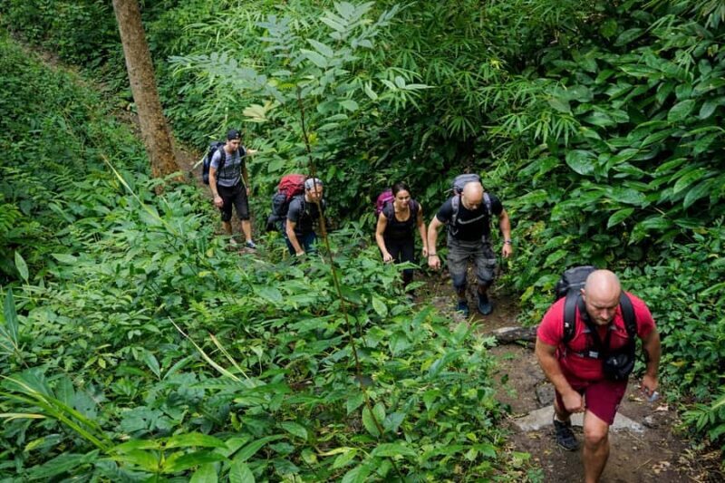 Chiang Mai: Forest Trekking & Visit Hill Tribe Village - What Makes This Tour Stand Out?