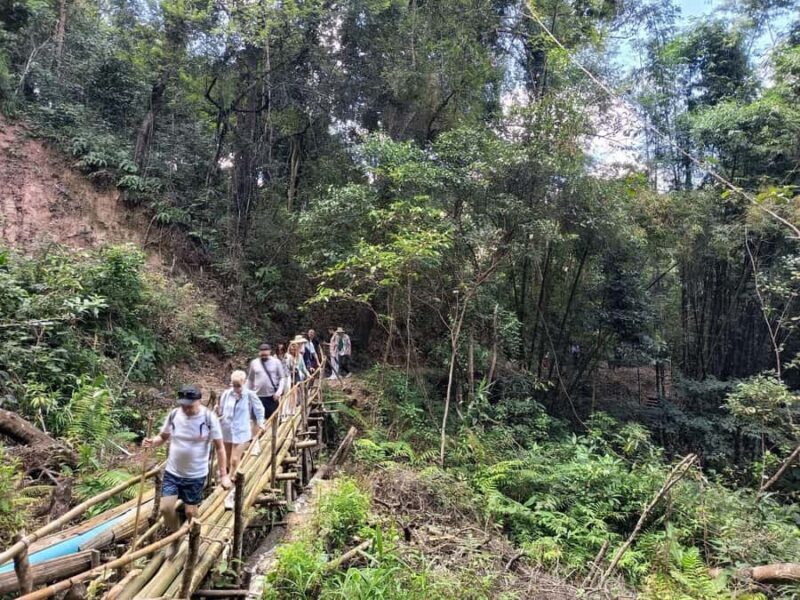 Chiang Mai: Forest Trekking & Visit Hill Tribe Village - The Experience: What Travelers Are Saying