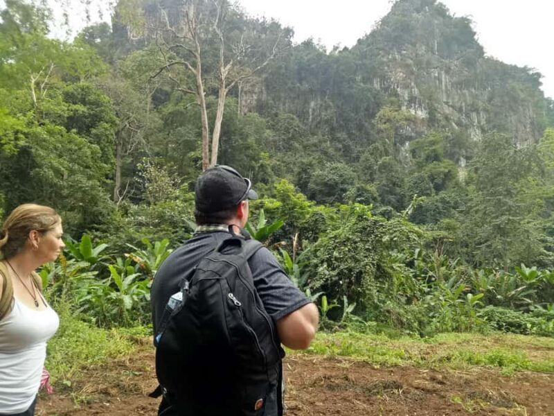 Chiang Mai: Full Day 5 Hill Tribes Tour - Who Will Love This Tour?