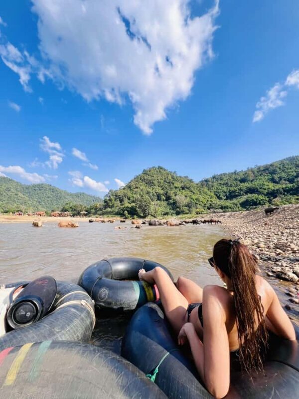 Chiang Mai Full-Day Adventure: Trekking, Tubing & Elephant - An In-Depth Look at the Tour