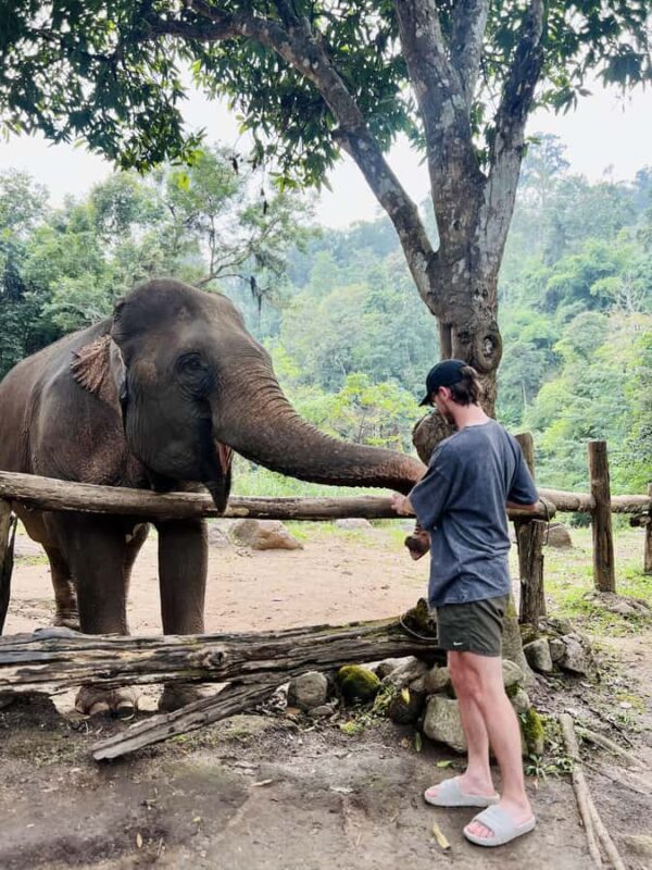 Chiang Mai Full-Day Adventure: Trekking, Tubing & Elephant - Final Thoughts: Who Is This Tour For?