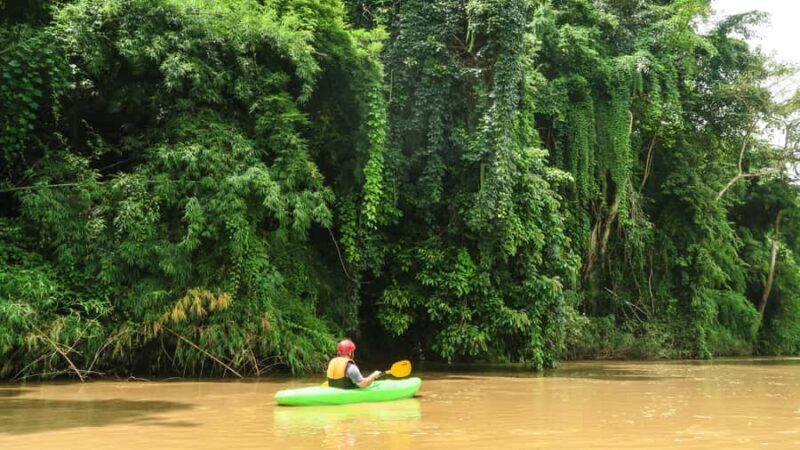 Chiang Mai: Full-Day Chiang Dao Caving & Jungle Kayaking - Who Should Consider This Tour?