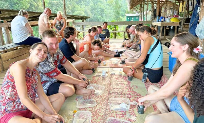 Chiang Mai: Full Day Ethical Elephant Sanctuary & Waterfall - Authenticity and Reviews from Past Travelers