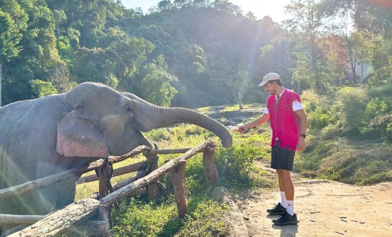 Chiang Mai: Full Day Ethical Elephant Sanctuary & Waterfall - Practical Details & Tips