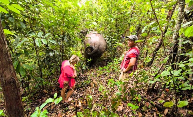 Chiang Mai: Full Day Ethical Elephant Sanctuary & Waterfall - Who Should Consider This Tour?