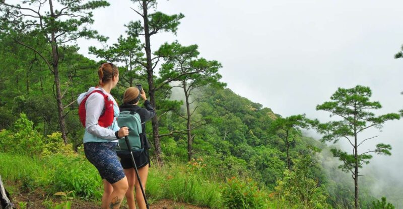 Chiang Mai: Full-Day Hiking Tour by Trailhead - A Deep Dive Into the Adventure