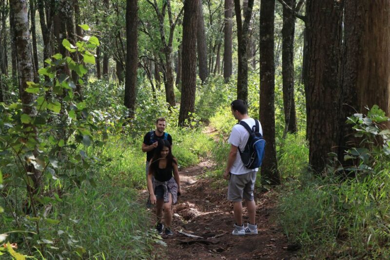 Chiang Mai: Full-Day Hiking Tour by Trailhead - Who Should Consider This Tour?