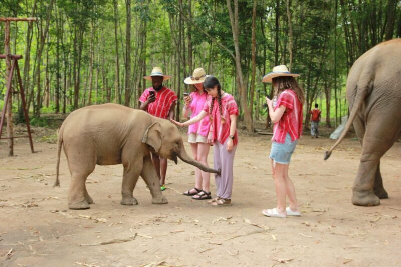 Chiang Mai: Full-Day Kerchor Elephant Eco Park Tour & Trek - Practical Tips for Travelers