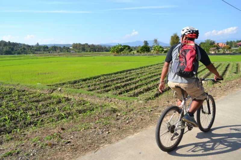 Chiang Mai: Full-Day Nature & Countryside by Bicycle - Key Points