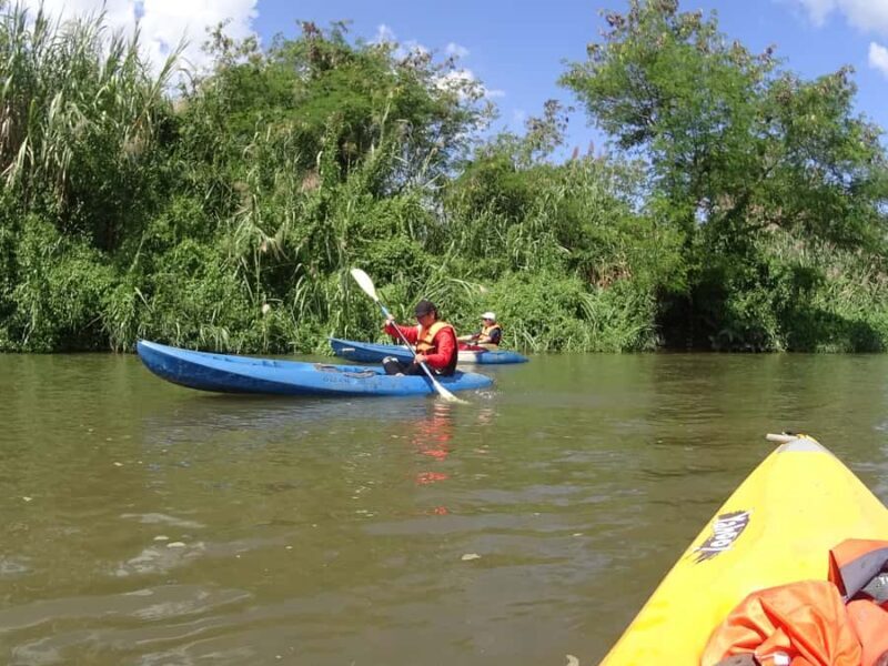 Chiang Mai: Full-Day Nature & Countryside by Bicycle - Who Will Love This Tour?