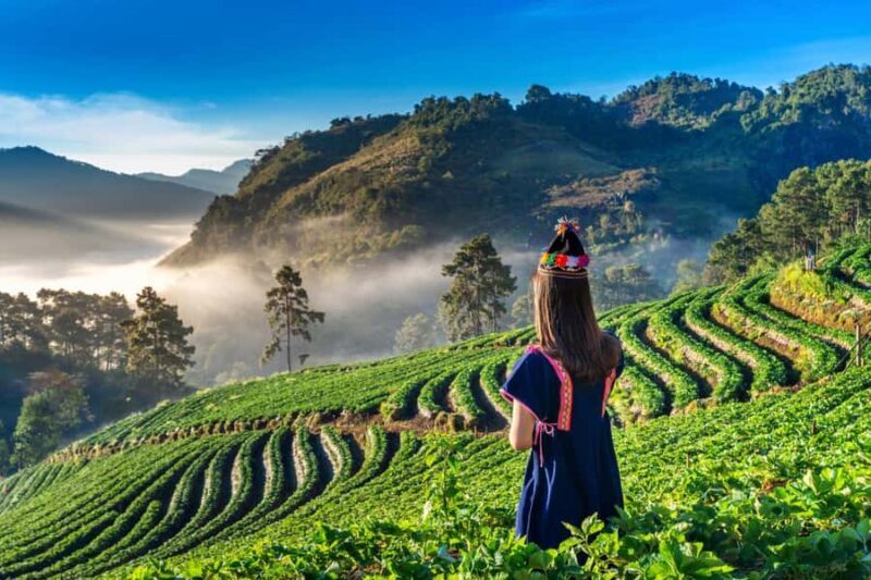 Chiang Mai: Full-Day Private Car Charter to Doi Ang Khang - Key Points