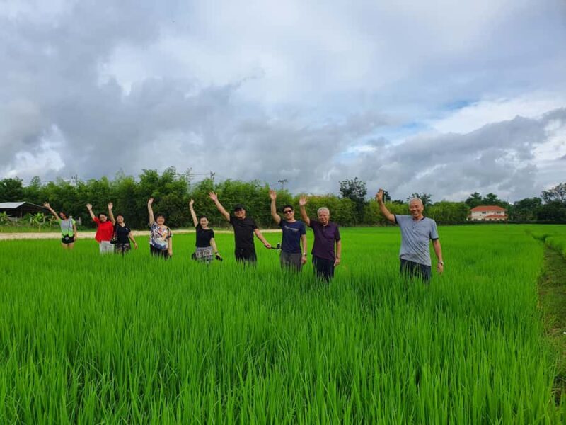 Chiang Mai: Full-Day Yoga & Meditation Experience with Lunch - Key Points