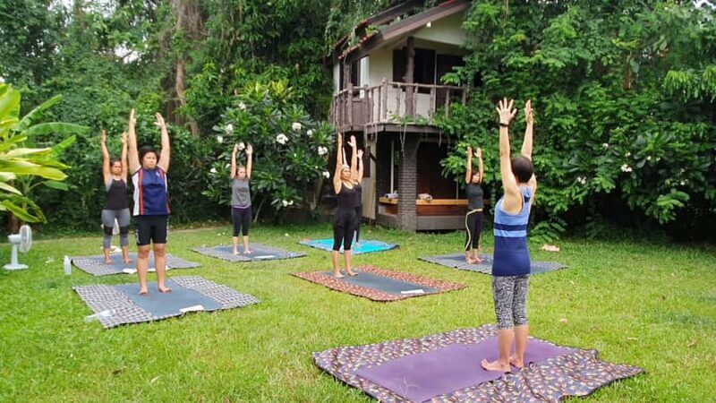 Chiang Mai: Full-Day Yoga & Meditation Experience with Lunch - An Introduction to the Full-Day Retreat in Chiang Mai