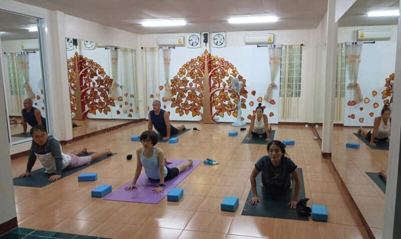 Chiang Mai: Full-Day Yoga & Meditation Experience with Lunch - Who Will Benefit Most?