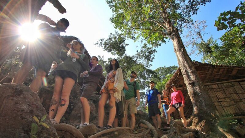 Chiang Mai: Guided Jungle and Waterfall Trek with Transfer - Authentic Insights from Reviews